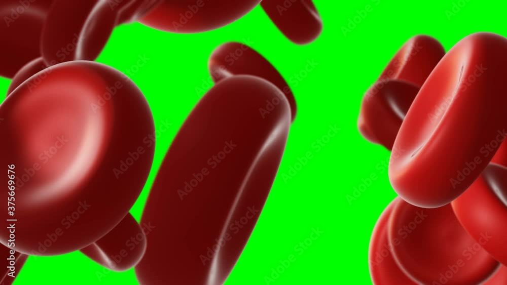Red blood cells in an artery - 3D animation at green background. Flow ...