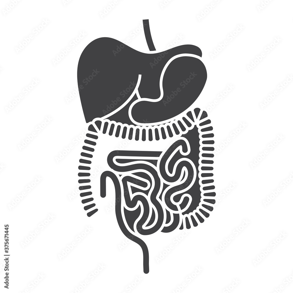 Human digestive system organs flat vector icon for apps and websites ...