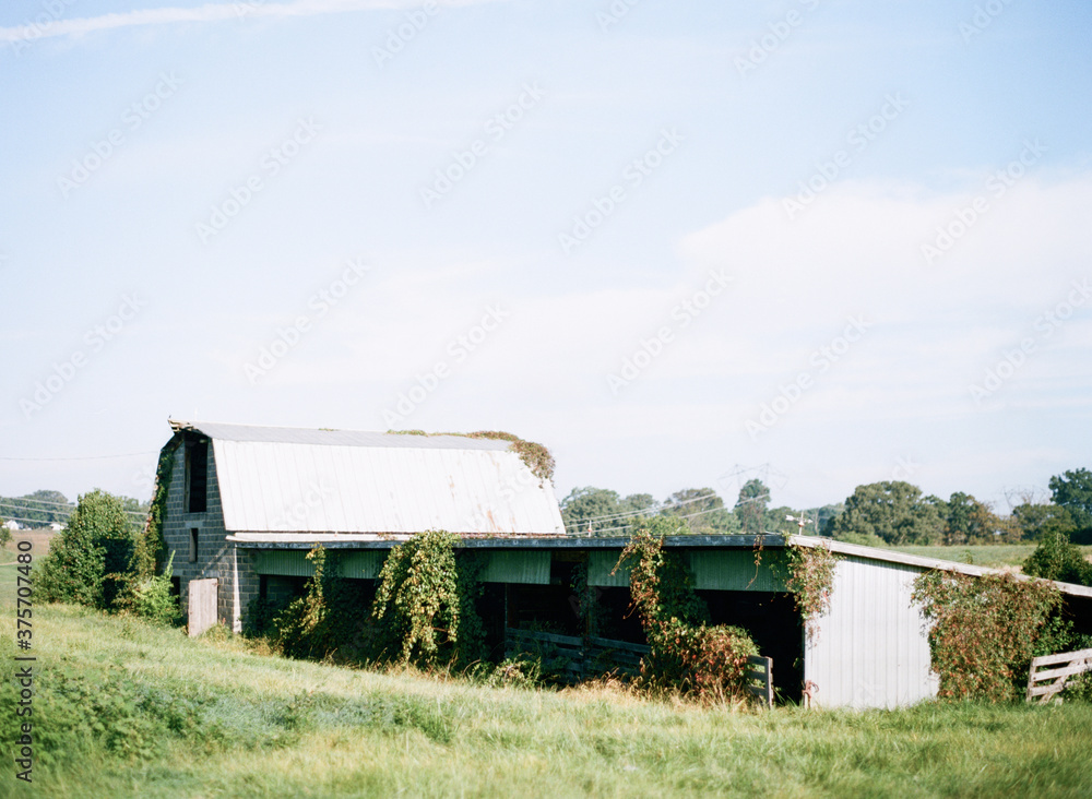Landscape image of an old run down cattle barn Stock Photo | Adobe Stock