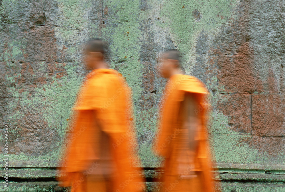 Khmer Buddhist monks at Ta Prohm Temple, Angkor, Seim Reap, Cambodia ...