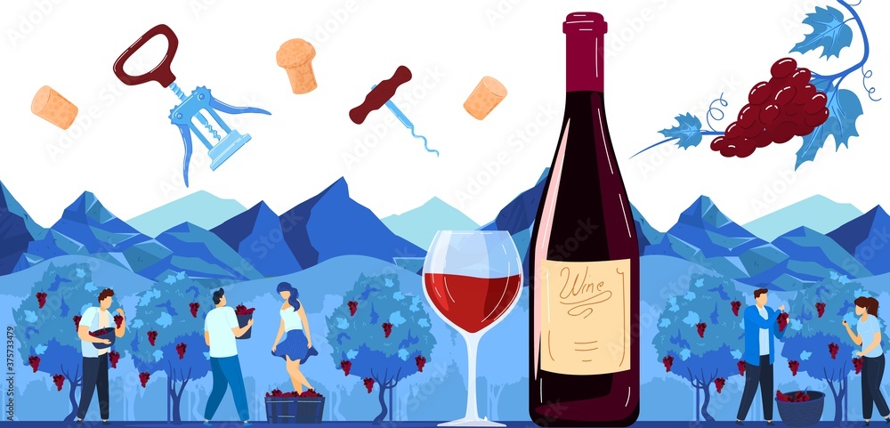 Grape harvest, wine production vector illustration. Cartoon flat ...