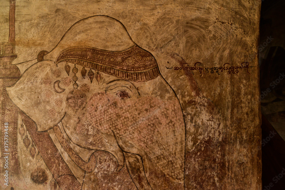 A sacred elephant Stock Photo | Adobe Stock