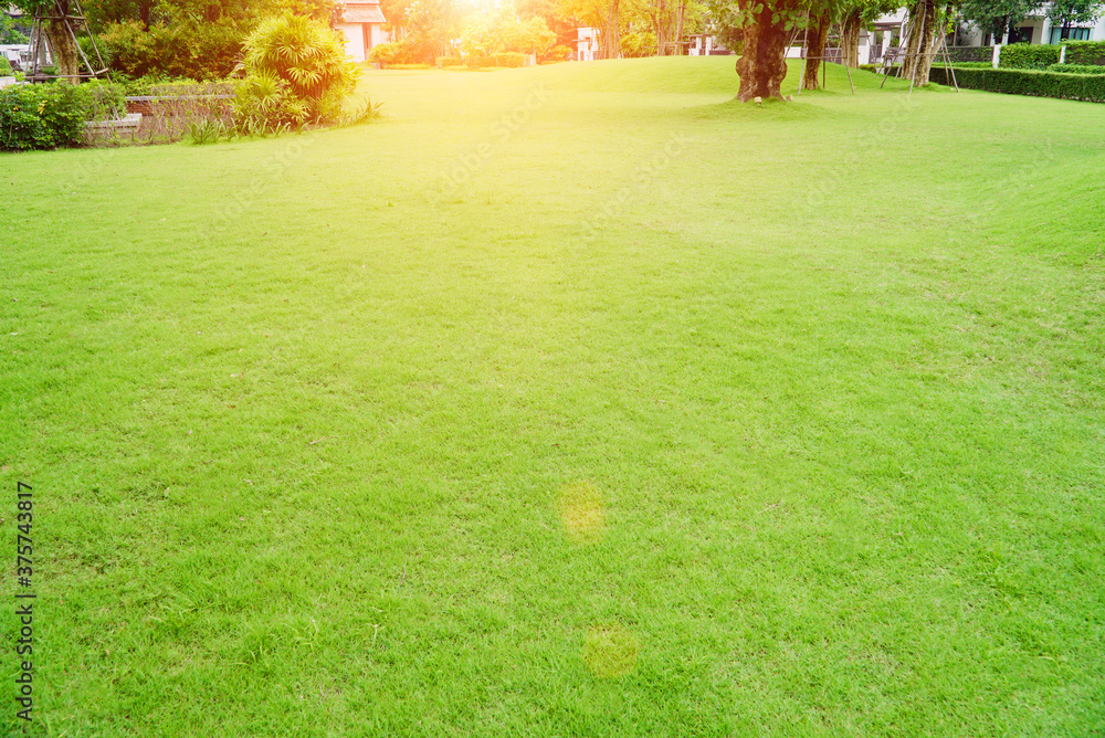 Luxury Modern house with a beautiful landscaped front yard with fresh ...