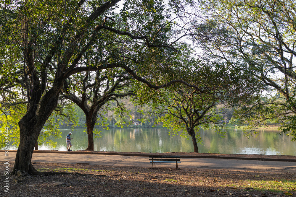 Final de tarde em parque com muito verde na cidade de São Paulo. Por do ...