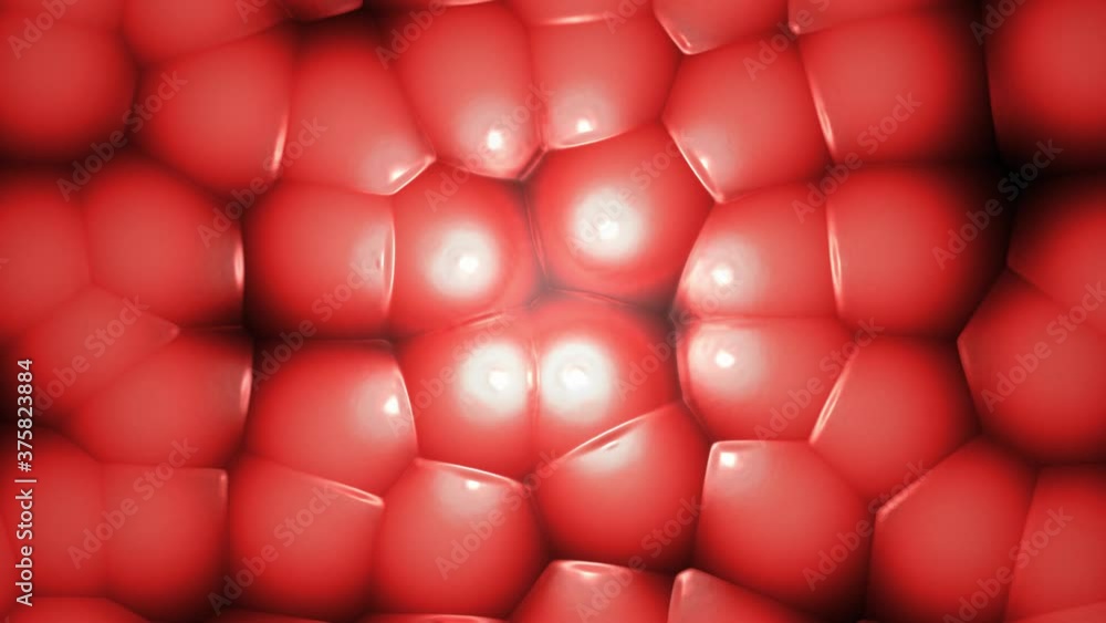 Abstract Bowels Texture Background Seamless Looping/ 4k animation of an ...