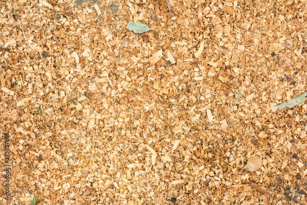 Sawdust or wood dust texture background. Wood sawdust background ...
