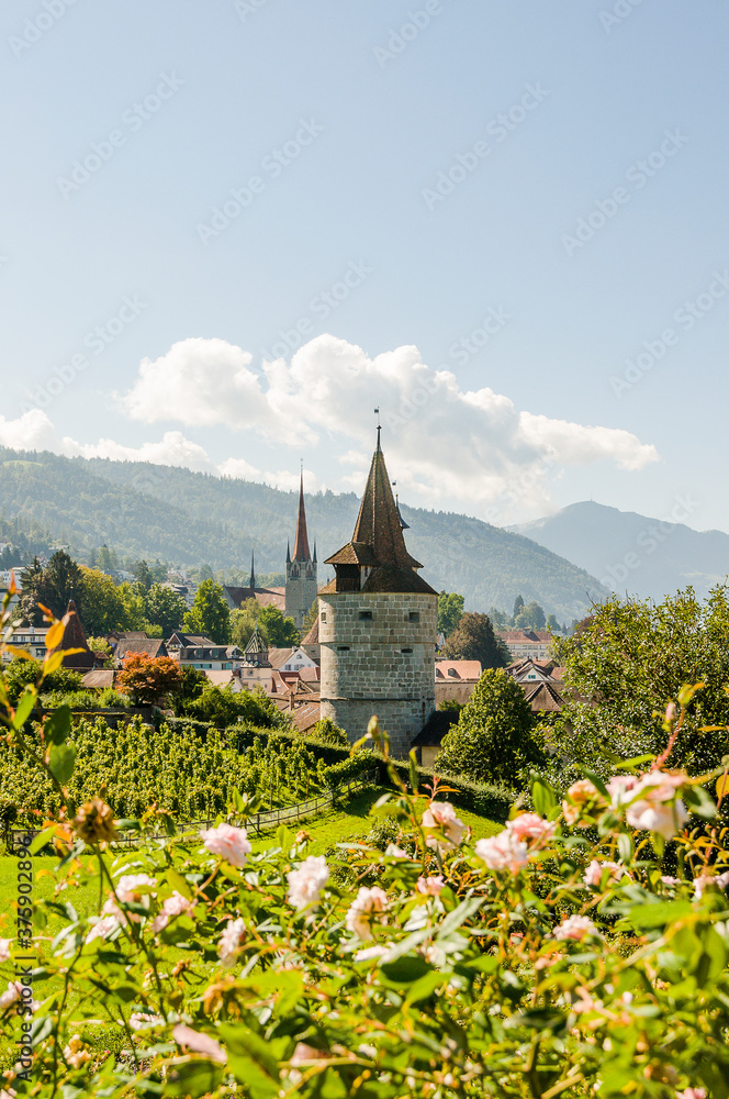 Stadt Zug, Stadt, Zug, Altstadt, Stadtmauer, Kapuzinerturm, St. Michael ...