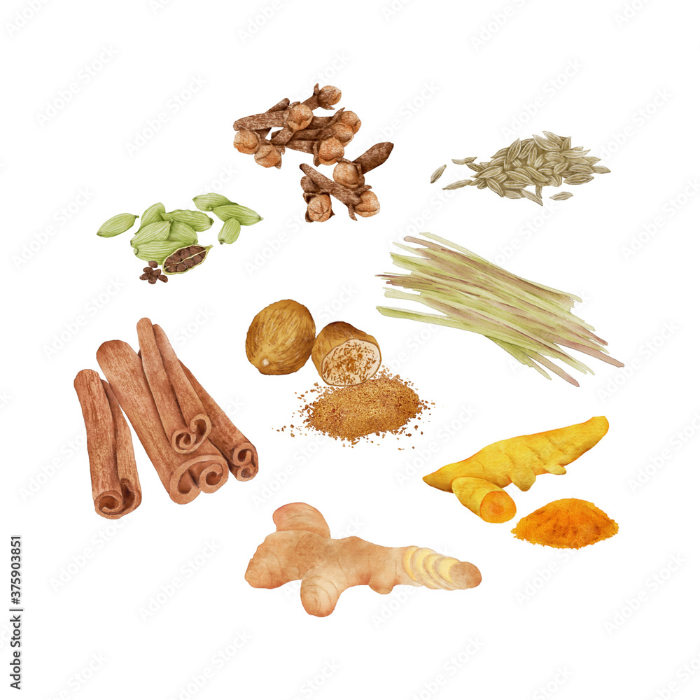 Watercolor Illustration of a set of spices, cardamom, cloves, cumin ...