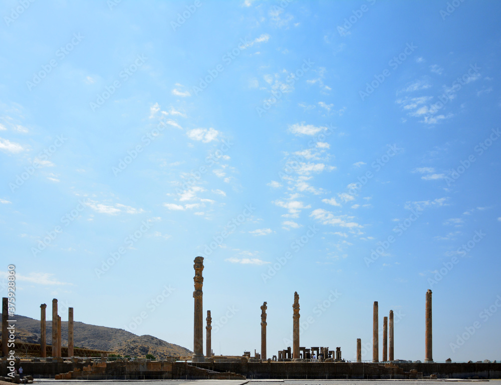 Persepolis, Hall of 100 columns, partial view. Stock Photo | Adobe Stock