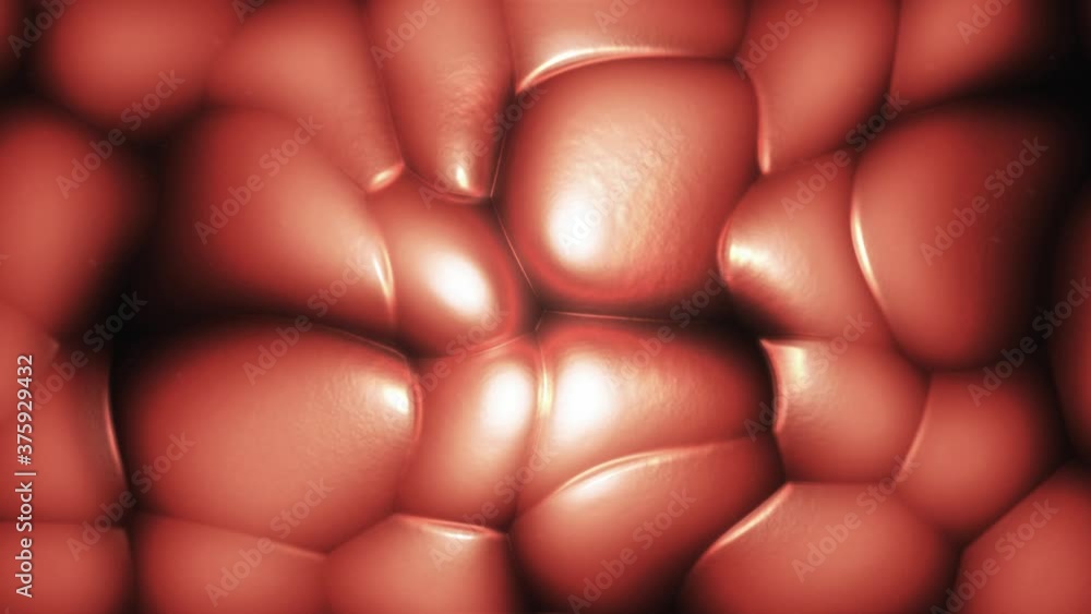 Abstract Slimy Flesh Patterns Texture Background Seamless Looping/ 4k ...