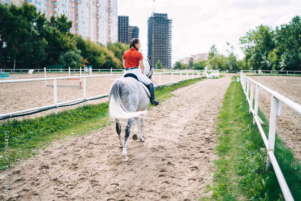 Back view of brunette female jockey enjoying horseback riding on ...