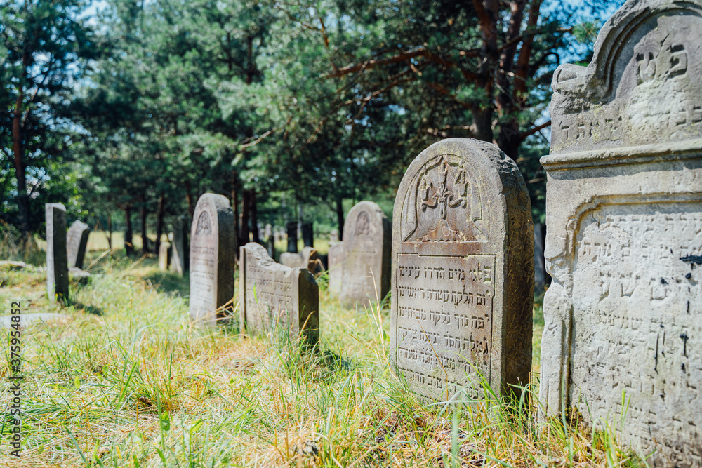 Tombstone at abandoned jewish cemetery in the middle of forest in Zarki ...