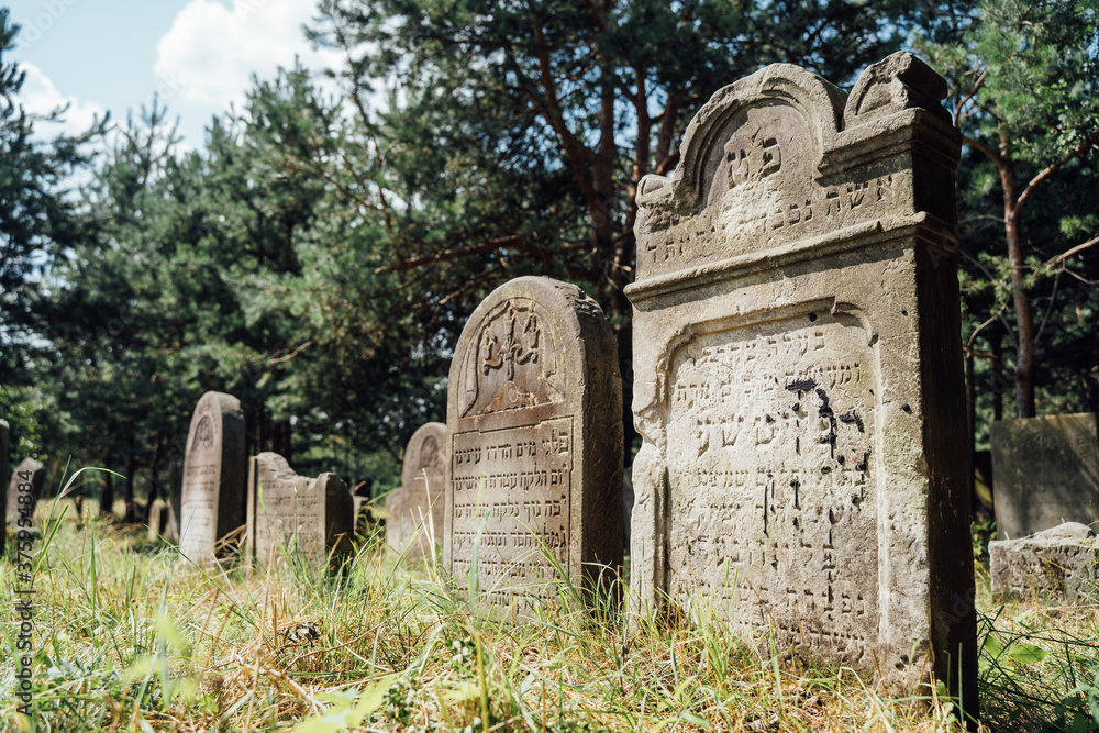 Tombstone at abandoned jewish cemetery in the middle of forest in Zarki ...