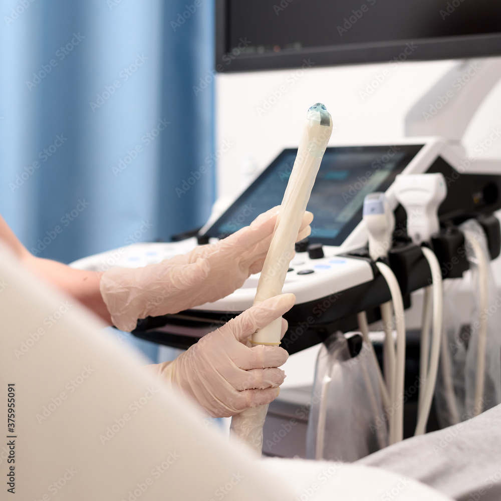 Gynecologist applies gel to a transvaginal ultrasound scanner for a ...