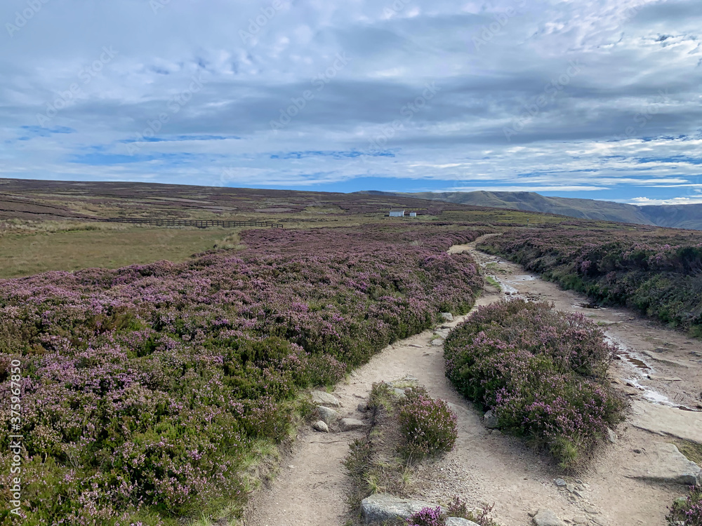Snake Path near High Peak Kinder Hayfield Peak District Moors National ...