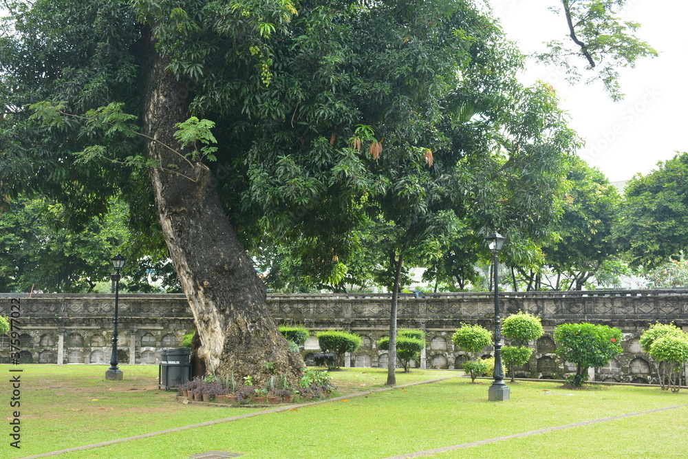 Paco park cemetery and niches wall with trees in Manila, Philippines ...