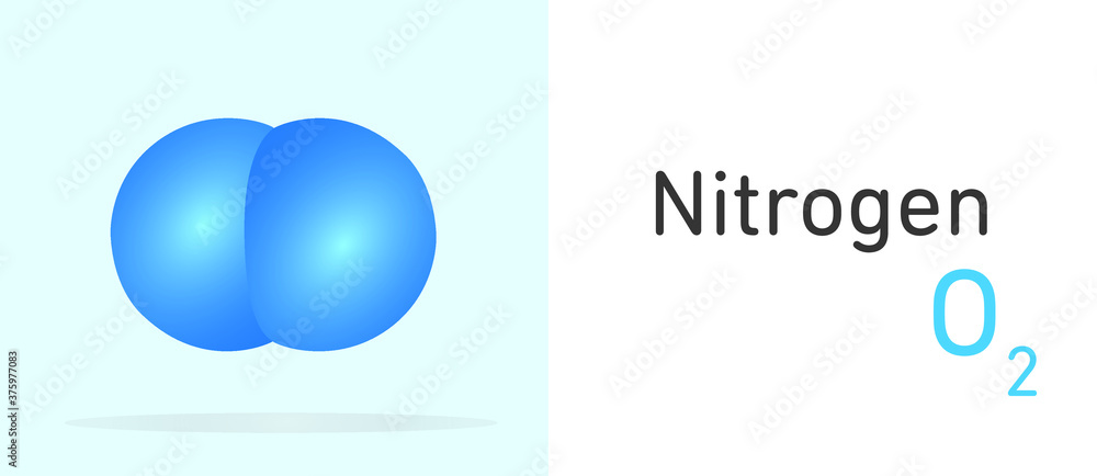 Nitrogen Gas Structure