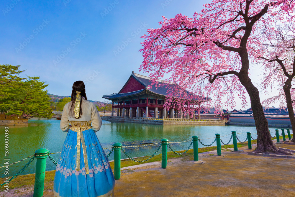Cherry Blossom in spring with woman in Korean national dress. at ...