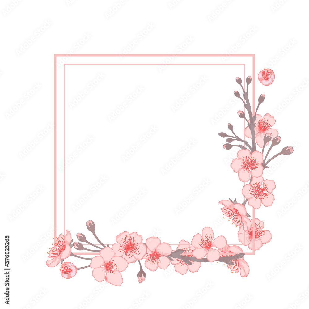 Vector sakura trees blomming collections frames. Set of cherry flowers ...