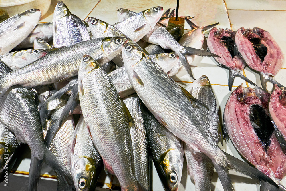 Isolated close-up of a heap of silver colored fresh bangus milk fish ...