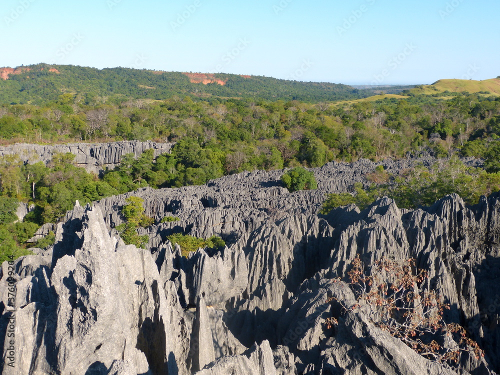 Tsingy de Bemaraha nature strict reserve in Madagascar island. Awesome ...