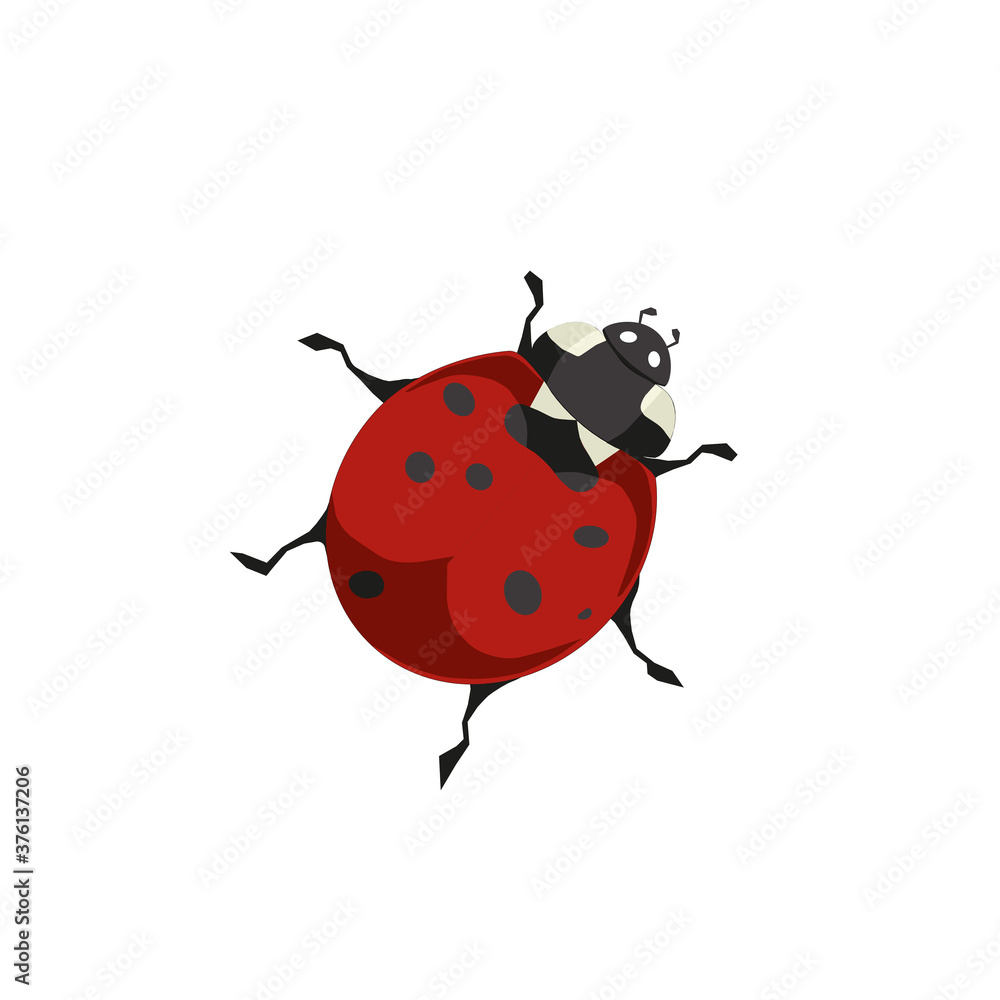 A Ladybug On White Isolated Background Vector Stock Illustration In