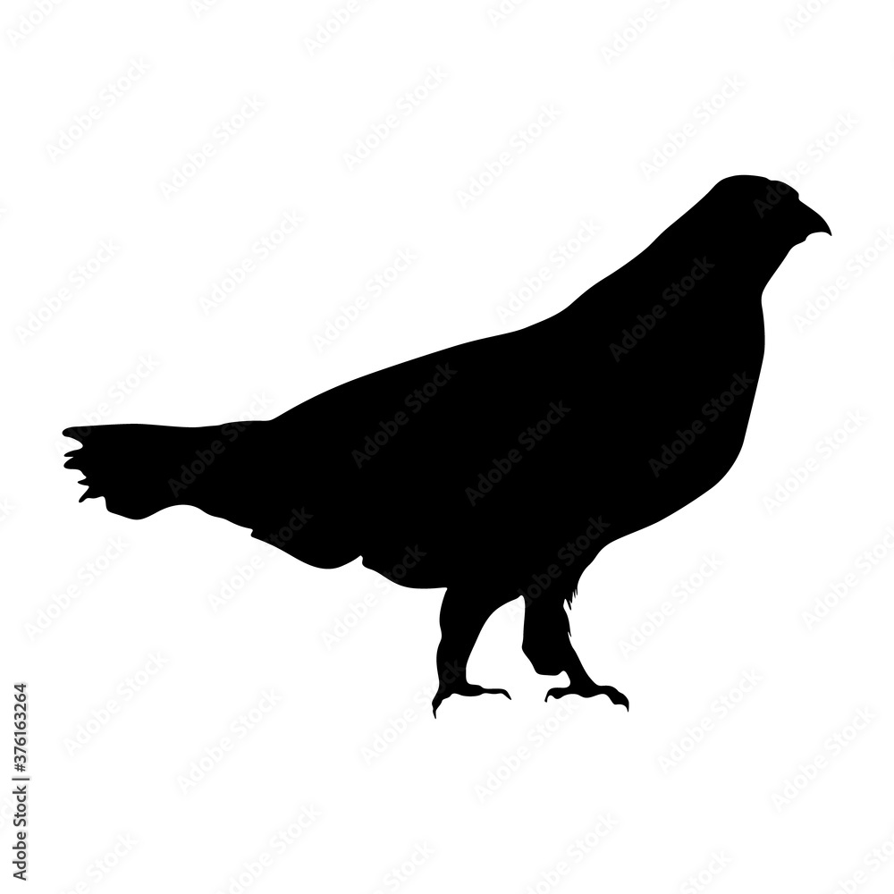 Grouse (Tetraoninae) Standing On a Side View Silhouette Found In Map Of ...