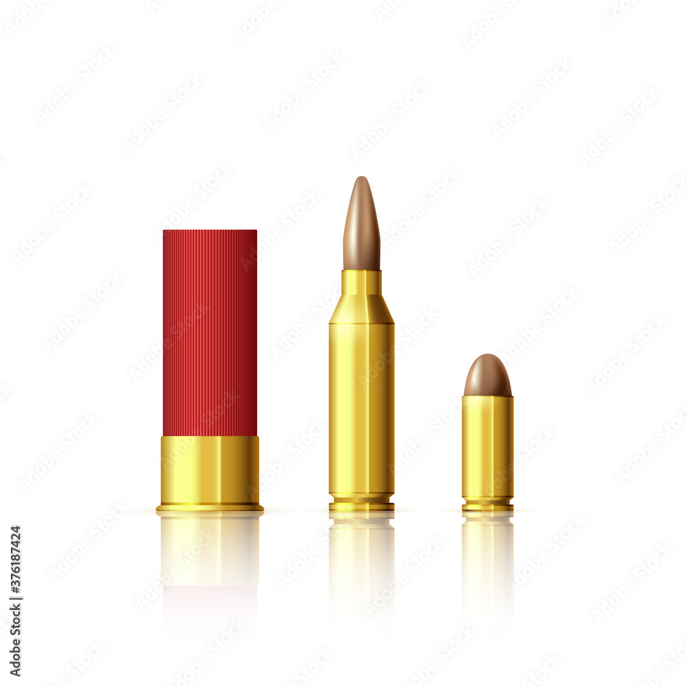 Different types of cartridges. Realistic bullet and cartridge. Vector ...