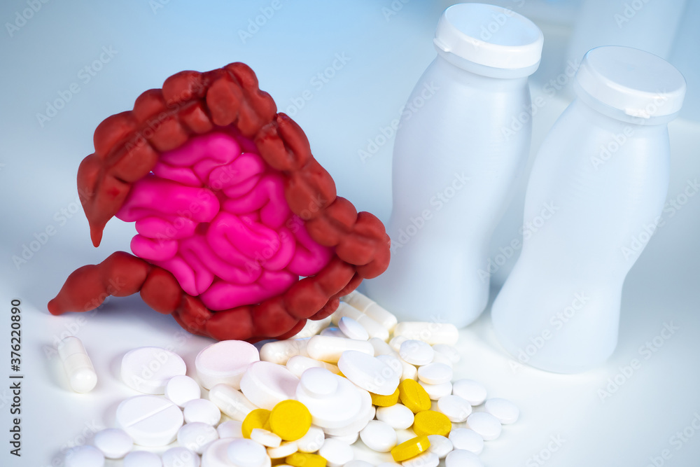 The concept of the health of the human intestine. Probiotics and ...