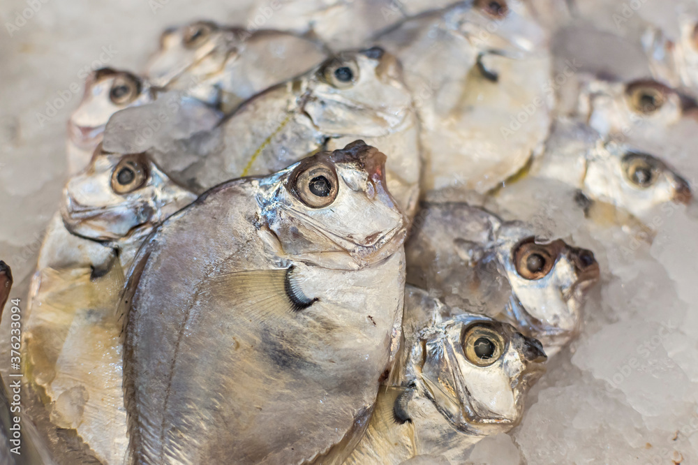 Pony Fish or Sapsap at the fish section of a local supermarket. A ...
