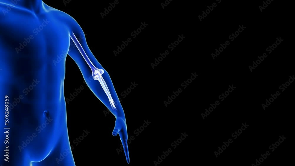 Elbow Pain close-up animation. Blue Human Anatomy Body 3D Scan render ...