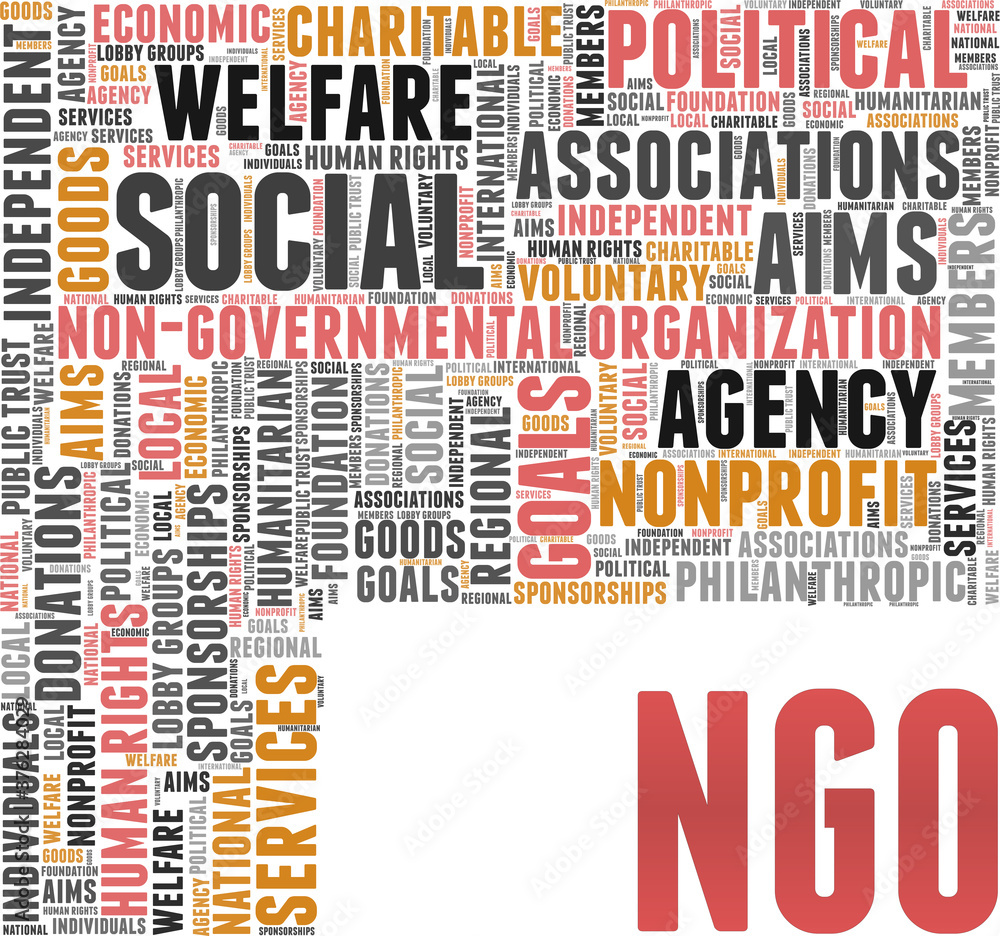 Non-governmental organization - NGO vector illustration word cloud ...