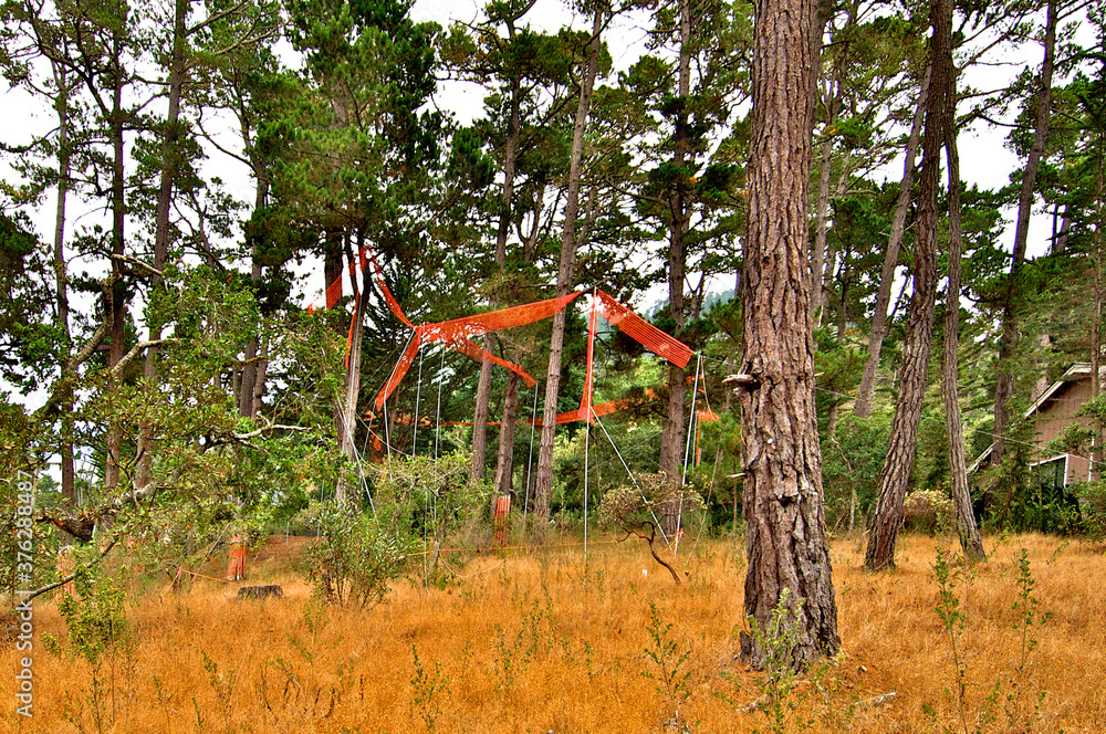 Visual Impact Assessment. Outline of building with orange safety fence ...