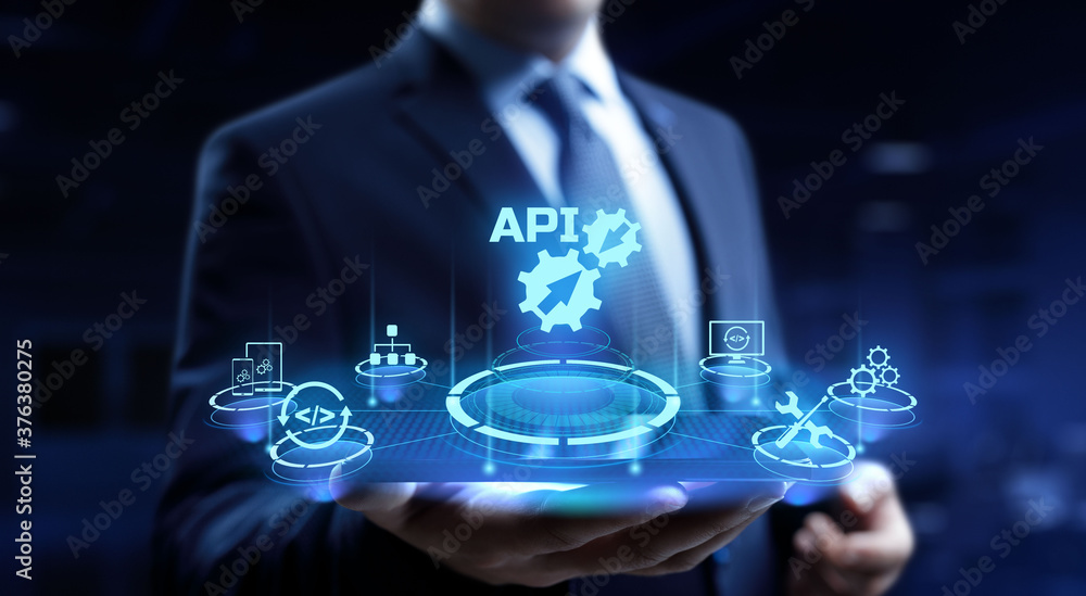 API application programming interface function and procedure ...