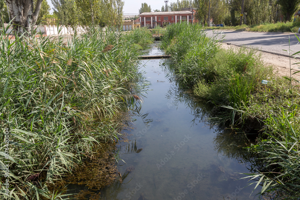 Large amount of debris and dirty wastewater causes rapid growth of ...