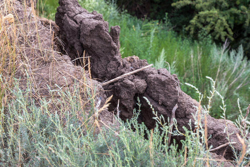 Deep cracks in the earth in the landslide zone of the sea coast after ...
