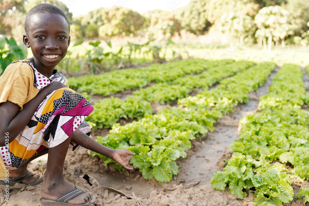 Agriculture for African children, little black boy posing for the ...