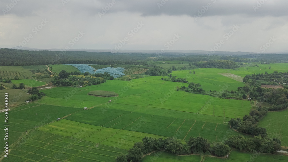 Top view of rice field land scape photo by drone Stock Photo | Adobe Stock