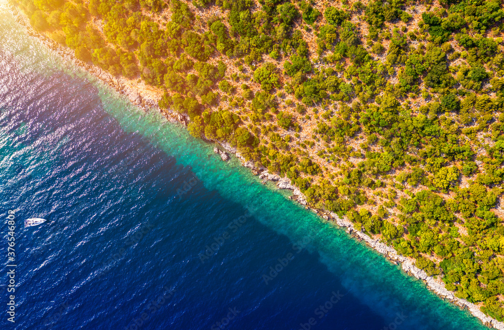 Coastal area with blue clear water and forest on land, aerial view ...