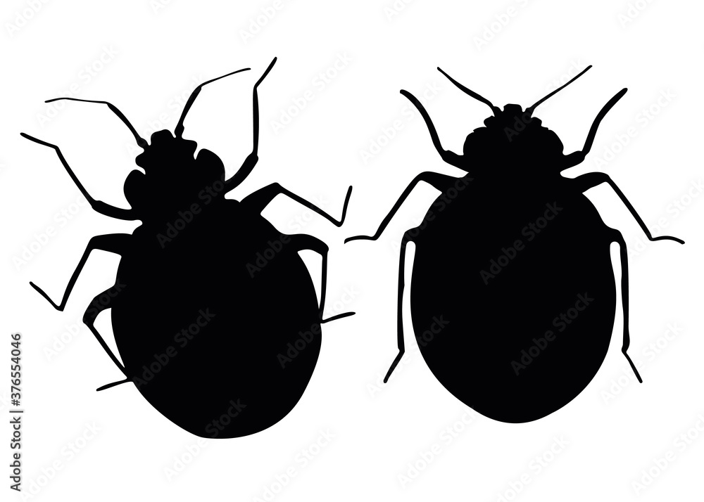 Blood-sucking bed bugs. Pests and parasites. Stock Vector | Adobe Stock