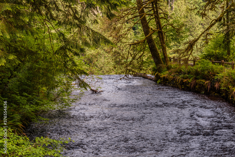 Where Silver Creek turns in to South Falls in Silver Falls State Park ...