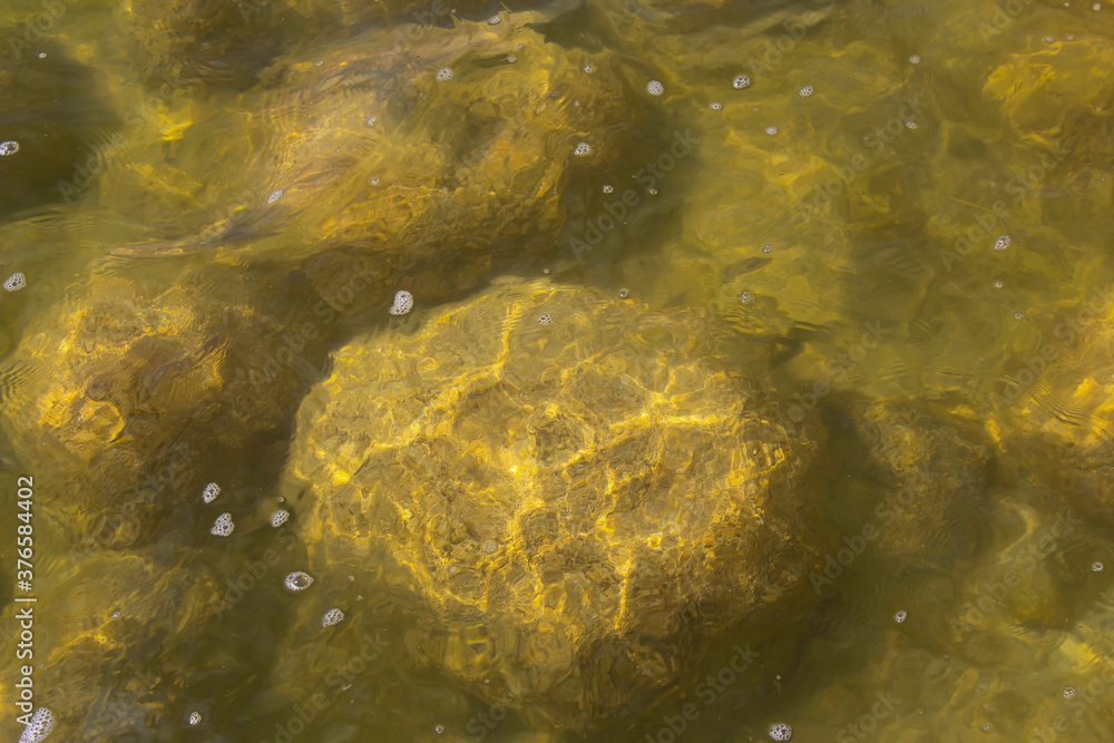 Rare colony of 6 kilometre long thrombolite living rocks calcium ...