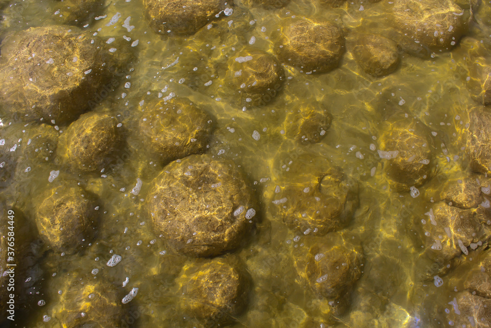 Rare colony of 6 kilometre long thrombolite living rocks calcium ...