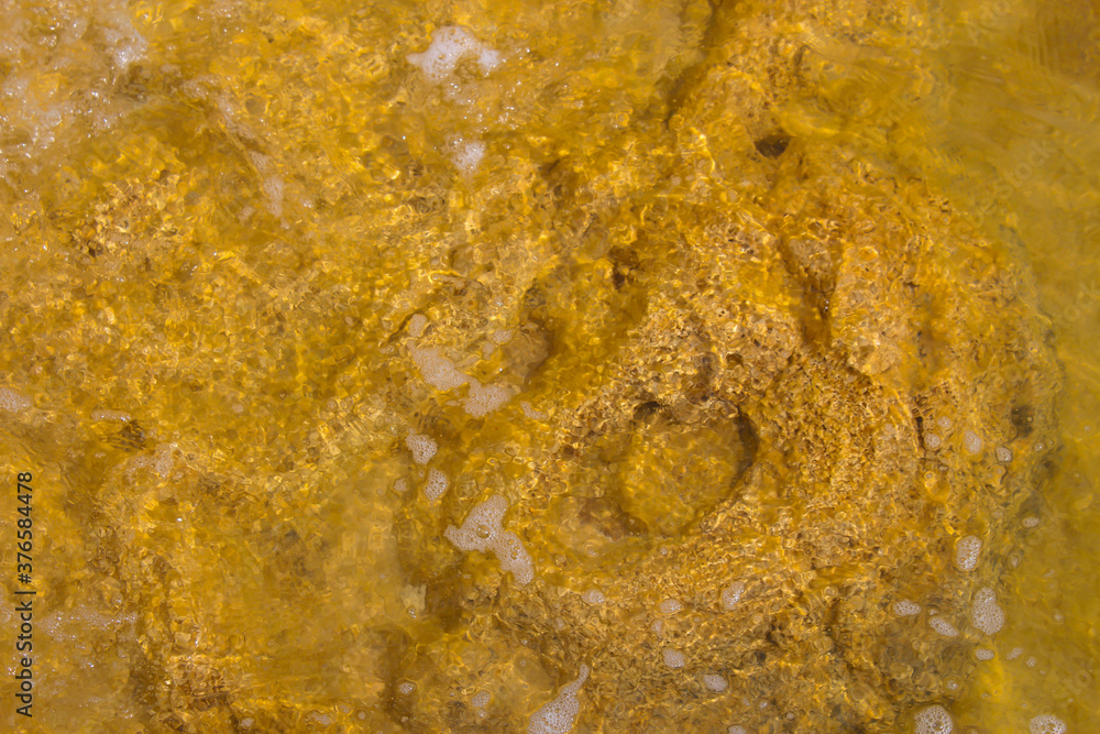 Rare colony of 6 kilometre long thrombolite living rocks calcium ...