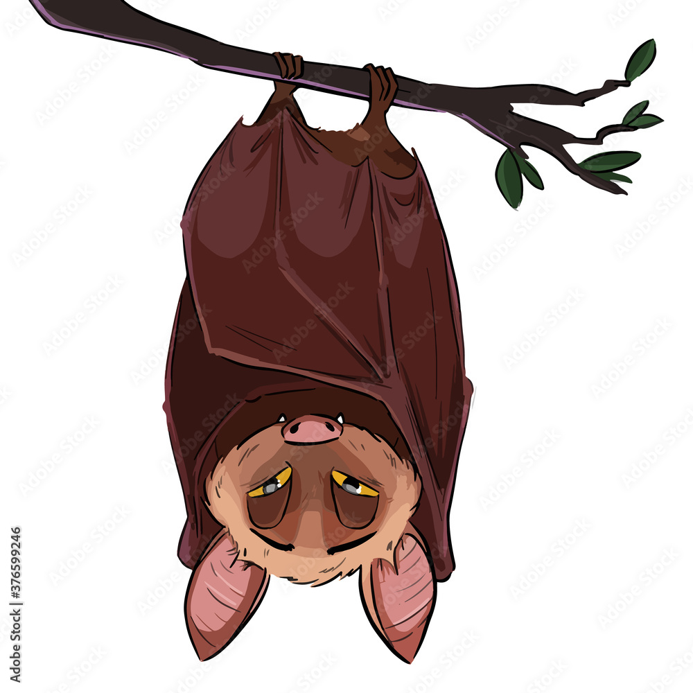 Vector linear illustration of the flying bat hanging upside down. Funny ...