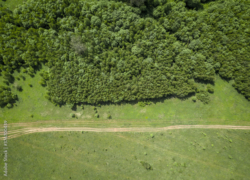 Aerial view of the outer wood with footpath at summer day. Edge of the ...
