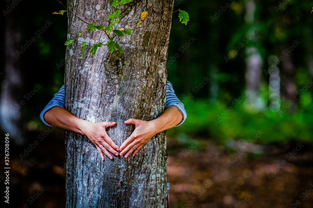 woman hand embracing a tree in the forest - nature loving, fight global ...