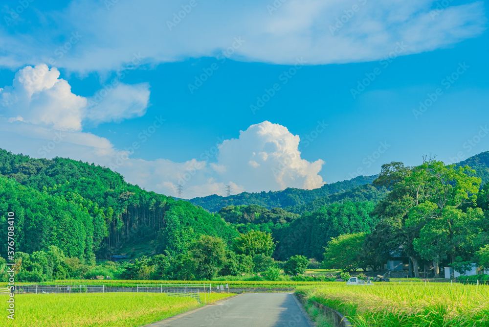 夏の日本の田舎風景 Stock Bilde Adobe Stock
