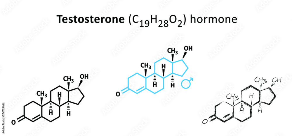 Testosterone C19H28O2 sex hormone formula cemical structure molecule ...