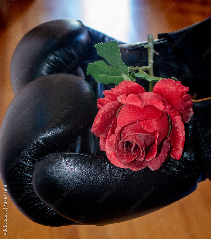 A rose in two boxing gloves as a symbol of gender based violence Stock ...